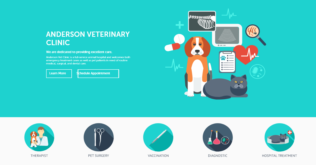 Veterinarian Websites - Web Design